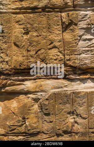 Closeup shot of an exposed brick wall texture between two windows Stock ...