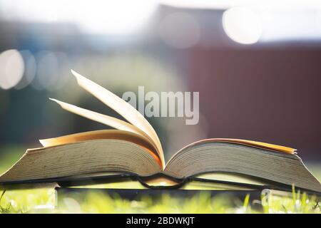 Open book under sunlight outdoors. Education and wisdom concept Stock ...
