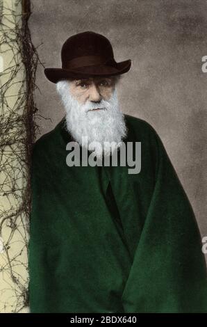 A black and white portrait of Charles Darwin, photographed by Julia ...