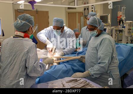 Surgeons and Nurses perform a Hip Replacement operation in an operating ...