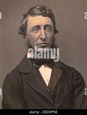 Henry David Thoreau. Portrait of the American poet and philosopher ...