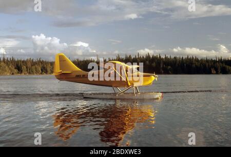 Yellow bush float plane landing on the Chena River in Alaska Stock ...