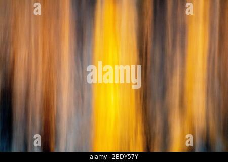 Tingley Beach in Albuquerque, New Mexico Stock Photo - Alamy
