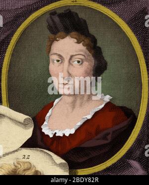 Insects of Surinam Stock Photo - Alamy