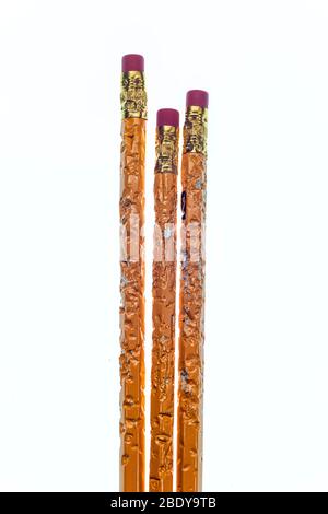 Vertical shot of the eraser end of one badly chewed pencil. Leaning ...