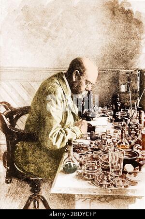 Robert Koch, German Bacteriologist Stock Photo - Alamy