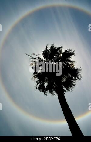 22 Degree Halo, Optical Phenomenon Stock Photo - Alamy