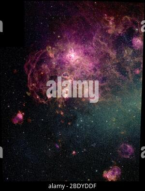 Tarantula Nebula, NGC 2070, 30 Doradus, LMC Stock Photo - Alamy