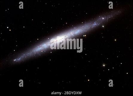 Silver Needle Galaxy NGC 4244 Stock Photo - Alamy