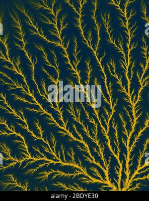 Electron Tree or Lichtenberg Figure Stock Photo - Alamy