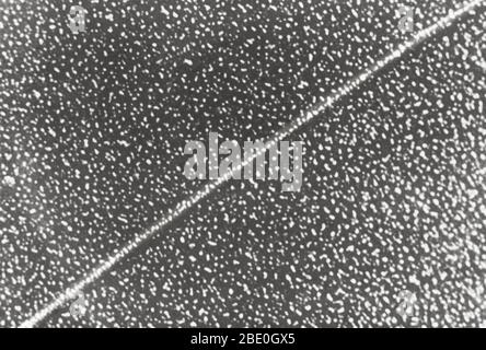 Transmission Electron Micrograph (TEM) of a single strand of ...