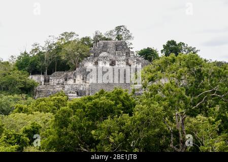 main temple of ancient mayan calakmul, mexico Stock Photo - Alamy