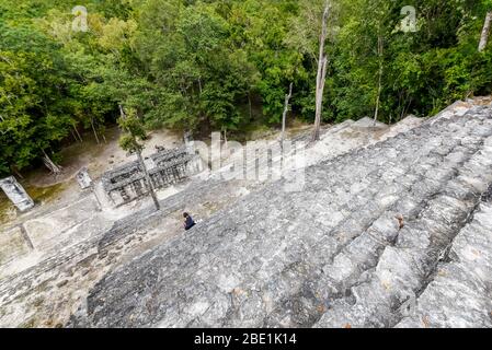 main temple of ancient mayan calakmul, mexico Stock Photo - Alamy
