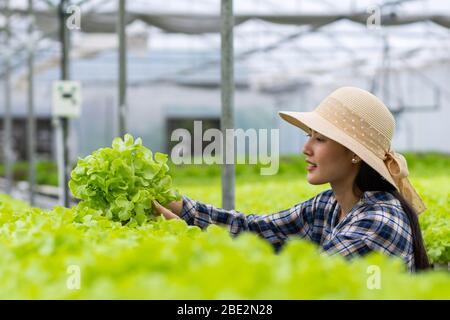 Summer vegetables salad in a modern bowl. Bright vegan food, trendy ...