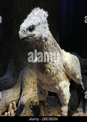 Buckbeak the Hippogriff. Film Set at The Making of Harry Potter Studio ...
