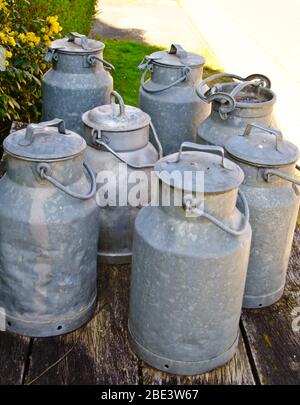 A group of ancient, metal milk cans on a table, vintage Stock Photo - Alamy