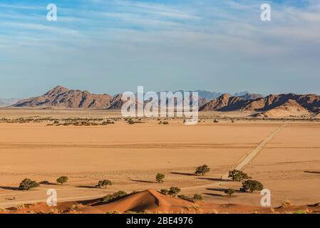 Elim dune, Namib Desert; Sesriem, Namibia Stock Photo - Alamy