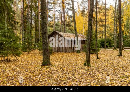 Forest lodge in backwoods, wild area in beautiful forest in Autumn ...