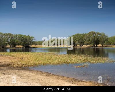 This billabong (waterhole) near Derby supports an abundance of birdlife ...