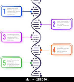 Vector DNA horizontal banner. Deoxyribonucleic acid concept linear ...