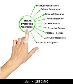 Components of Health Promotion Programme Stock Photo - Alamy