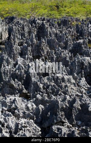 Rock Formations in Hell, Grand Cayman, Cayman Islands, Greater Antilles ...