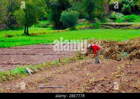 Agriculture Field Work - Peru Stock Photo - Alamy