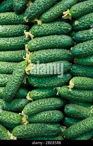 Heap of cucumbers at Farmers' market Stock Photo - Alamy