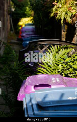 Liverpool City Council wheelie bins outside, overflowing, waiting for ...