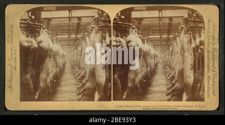 Chicago Stockyards 12 Stock Photo - Alamy