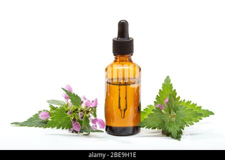 Nettle essential oil isolated on white background Stock Photo - Alamy