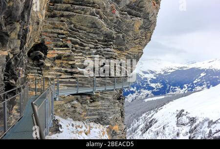 Grindelwald, Switzerland sky cliff walk bridge at First peak of Swiss ...