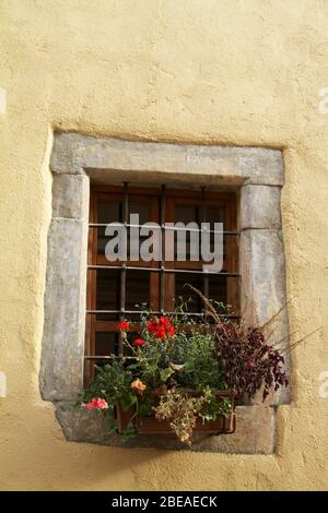 Window with flowers in brasov romania Stock Photo - Alamy
