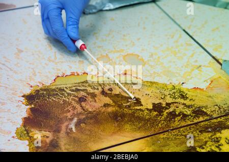 Forensic technicians taking DNA sample from blood stain with cotton ...