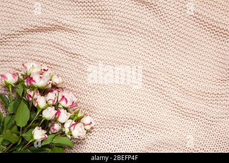 Happy woman's day. March 8. Roses, teddy bear and chalkboard on a white ...