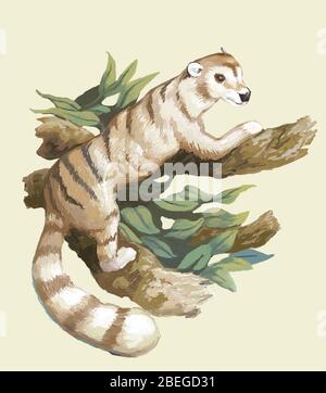 Miacis, Extinct Carnivore, Illustration Stock Photo - Alamy