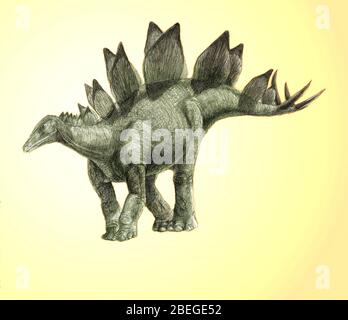 Stegosaurus armatus, a prehistoric era dinosaur from the Late Jurassic ...