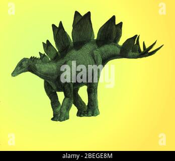 Stegosaurus armatus, a prehistoric era dinosaur from the Late Jurassic ...
