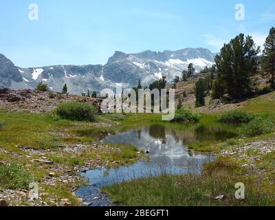Sunny view of the Lee Vining Creek at California Stock Photo - Alamy