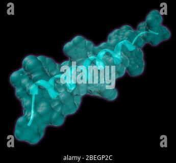 3D computer model of the glucose molecule Stock Photo - Alamy