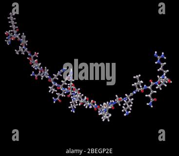 Ghrelin hormone molecule. Computer model showing the crystal structure ...
