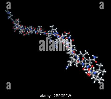 Secretin hormone molecule. Computer model showing the structure of the ...