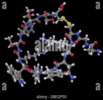 Somatostatin hormone molecule. Computer model showing the structure of ...
