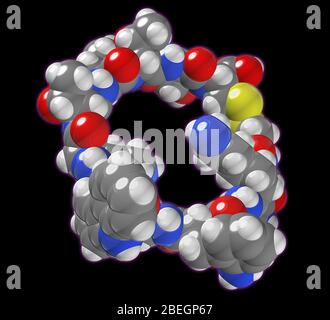 Somatostatin hormone molecule. Computer model showing the structure of ...