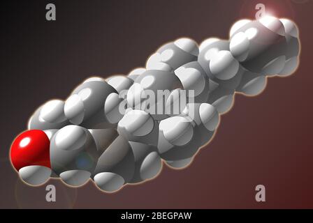 Molecular model of cholesterol Stock Photo - Alamy