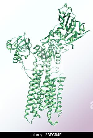 Calcium Ion Pump Stock Photo - Alamy