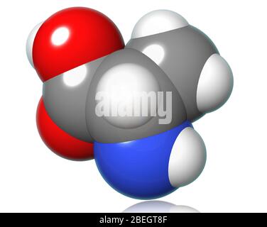 Alanine. Molecular model of the amino acid alanine (C3.H7.N.O2 ...