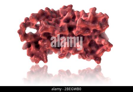 Interferon gamma (IFNg) cytokine molecule, 3D rendering. Recombinant ...