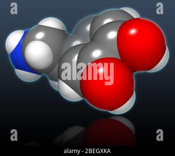 Dopamine, 3D molecular model Stock Photo - Alamy