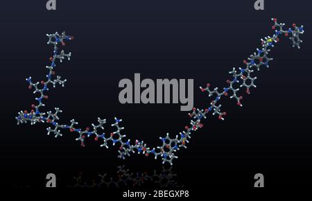 Gastrin Molecular Model Stock Photo - Alamy